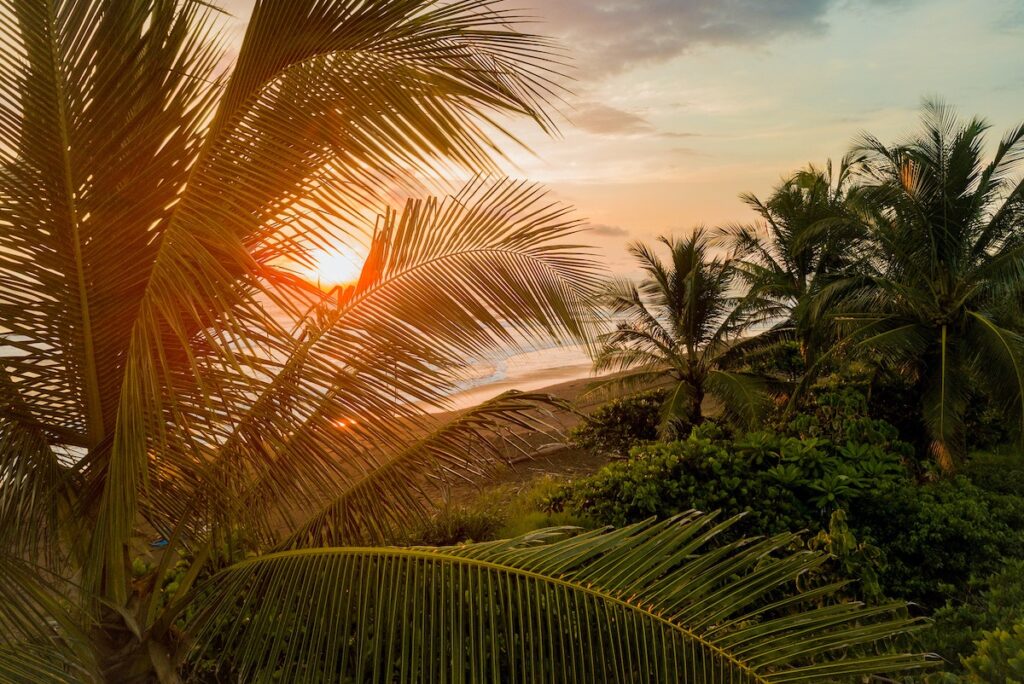 Une nouvelle vie au Costa Rica pour la galeriste Yoko Uhoda • Boulettes ...